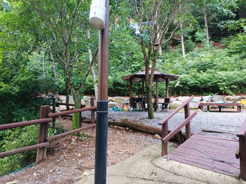 충북 생거진천자연휴양림 4편 숲속 야영장공립 캠핑장 네이버 블로그