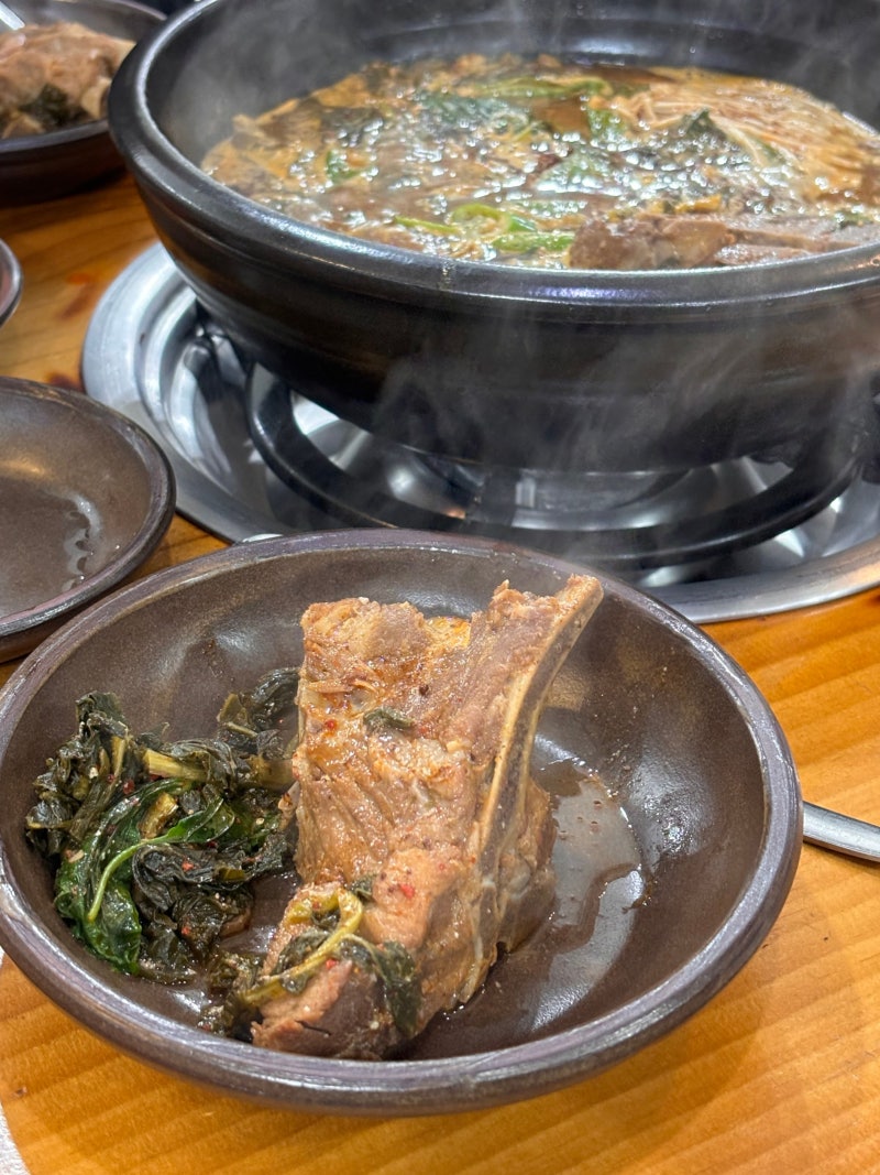 하이원리조트 근처 맛집 5곳 모음 윤식당 산능이본가 태백식당 화선식당 내돈내산 후기 🍚 네이버 블로그