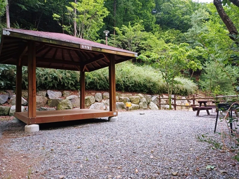 충북 생거진천자연휴양림 4편 숲속 야영장공립 캠핑장 네이버 블로그