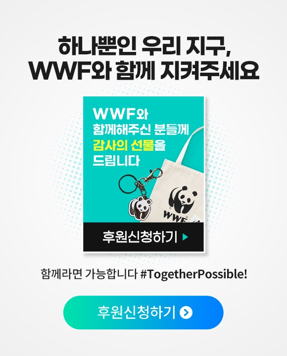 WWF는 무슨 일을 하나요? : 네이버 블로그