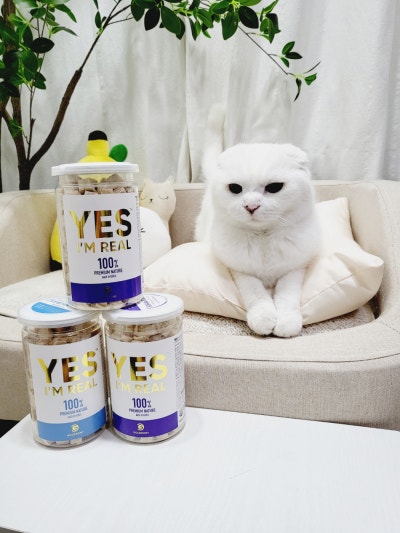 고양이 간식 동결건조 트릿 골드로니에서 선택 네이버 블로그