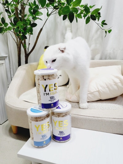 고양이 간식 동결건조 트릿 골드로니에서 선택 네이버 블로그