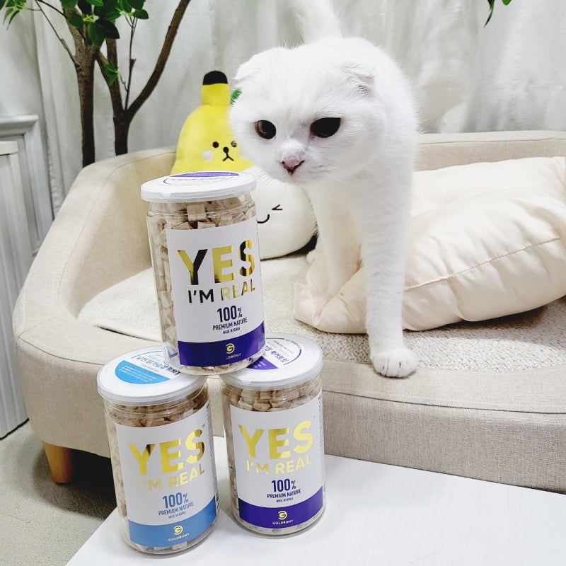 고양이 간식 동결건조 트릿 골드로니에서 선택 네이버 블로그