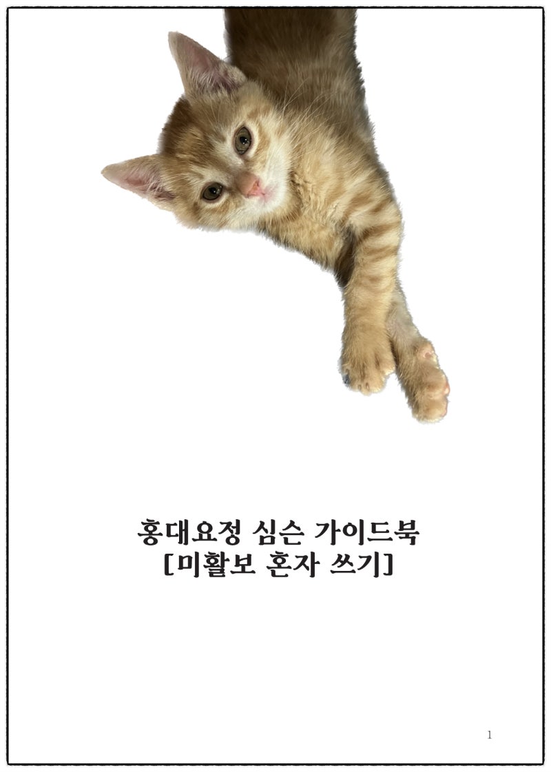 미활보 혼자 쓰기 4편 홍대 미술활동보고서 비교과 예시 네이버 블로그