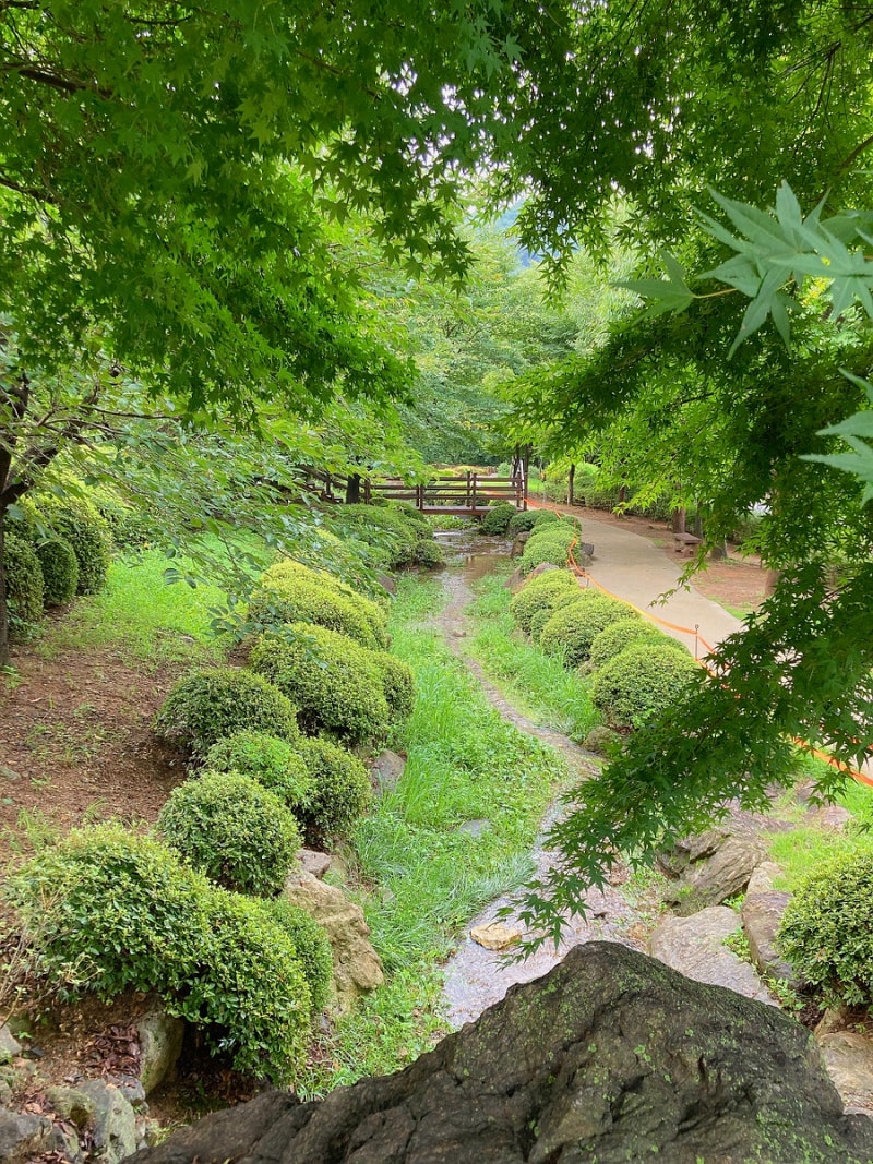 용인자연휴양림 입장료 예약 계곡 숙소 카라반 용인목재문화체험관 네이버 블로그