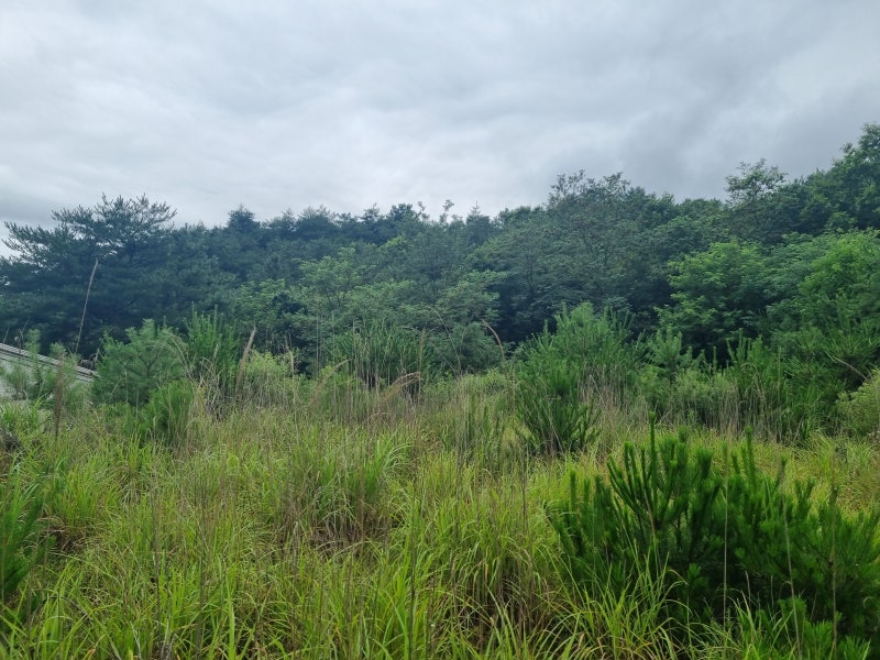 산세와 풍경이 이쁜 거창군 가조면 전원주택지 매매거창부동산거창군부동산가조면부동산거창토지매매거창땅매매거창군시골땅매매