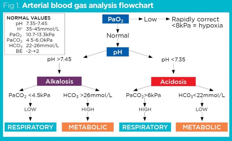 [응급실 간호] ABGA-Arterial blood gas analysis 동맥혈 가스분석 및 A-line 총정리 : 네이버 블로그