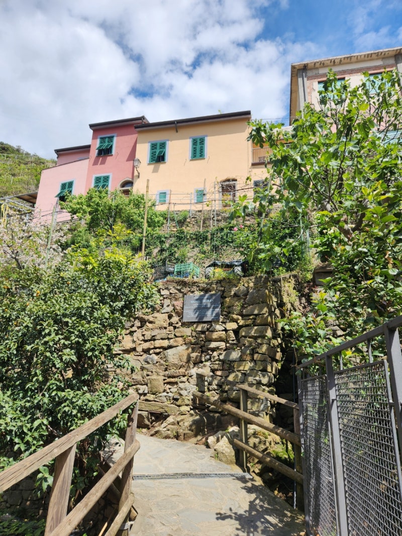 해마 이탈리아 친퀘 테레cinque Terre를 가다 🇮🇹 네이버 블로그