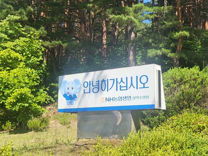 Nh농협생명 설악 수련원 이용후기 가성비 숙소 네이버 블로그