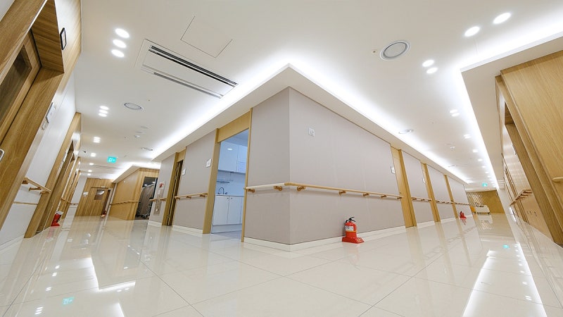 마이어스칵테일 주사 구성 성분과 효과는 네이버 블로그
