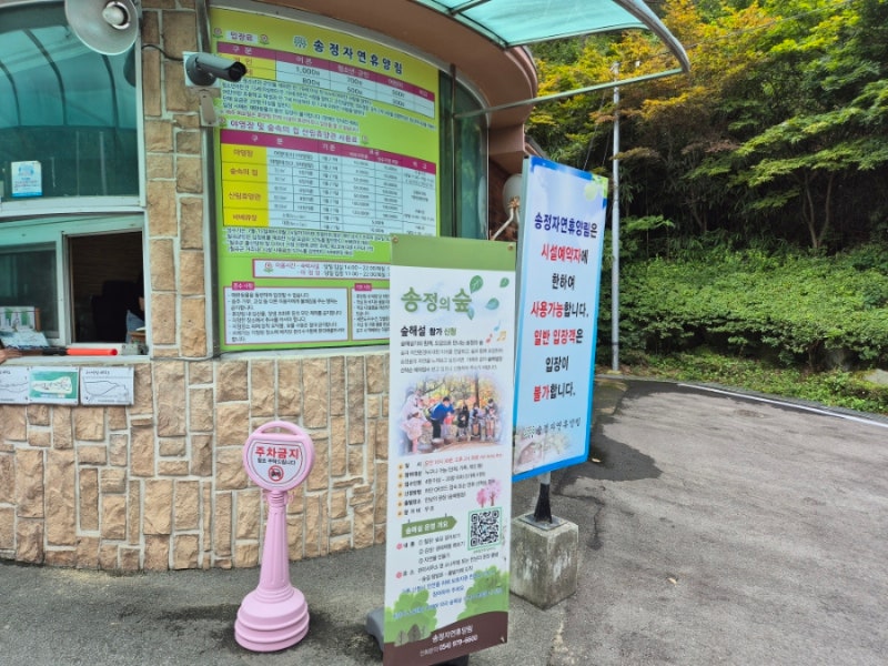 칠곡 송정자연휴양림 물놀이 및 1야영장 방문기 네이버 블로그