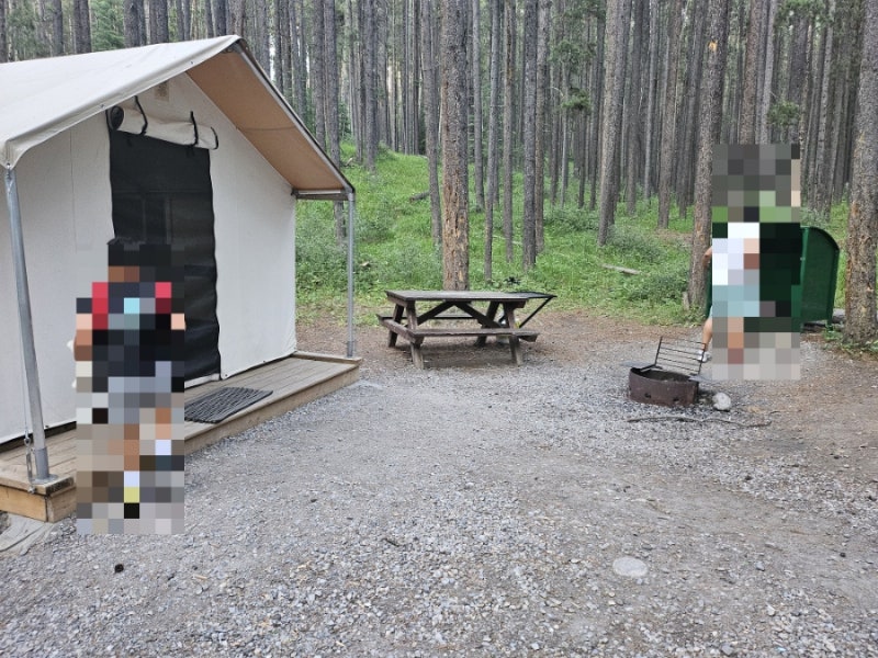 [밴프 여행] 밴프 투잭메인 캠핑장(Two Jack Main Campground) 이용후기(박쥐를 만나다) / 준비물(허쉬스모어 ...