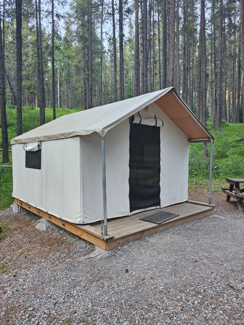 [밴프 여행] 밴프 투잭메인 캠핑장(Two Jack Main Campground) 이용후기(박쥐를 만나다) / 준비물(허쉬스모어 ...