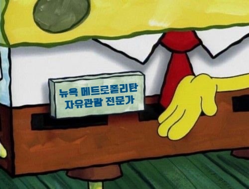 뉴욕 여행 뉴욕 메트로폴리탄 미술관 필수 작품위치 총정리 ️동선추천 도슨트 없이 자유관람 네이버 블로그