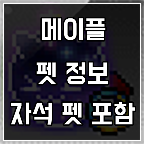 메이플스토리 펫 정보 및 소개 메이플 자석 펫 포함 네이버 블로그