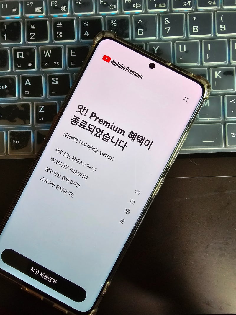유튜브 프리미엄 우회 가격 터키 주소 대신 대안 사이트 네이버 블로그