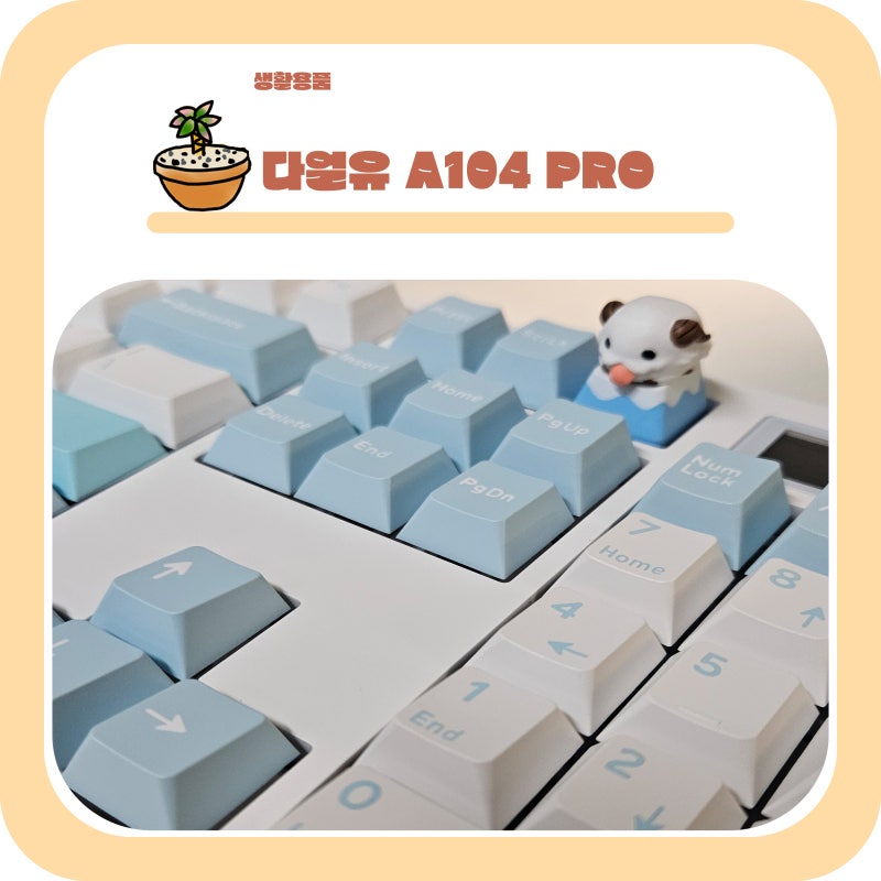 다얼유 DAREU 키보드 A104 PRO 8K 개봉기!/내돈내산/알리익스프레스 : 네이버 블로그