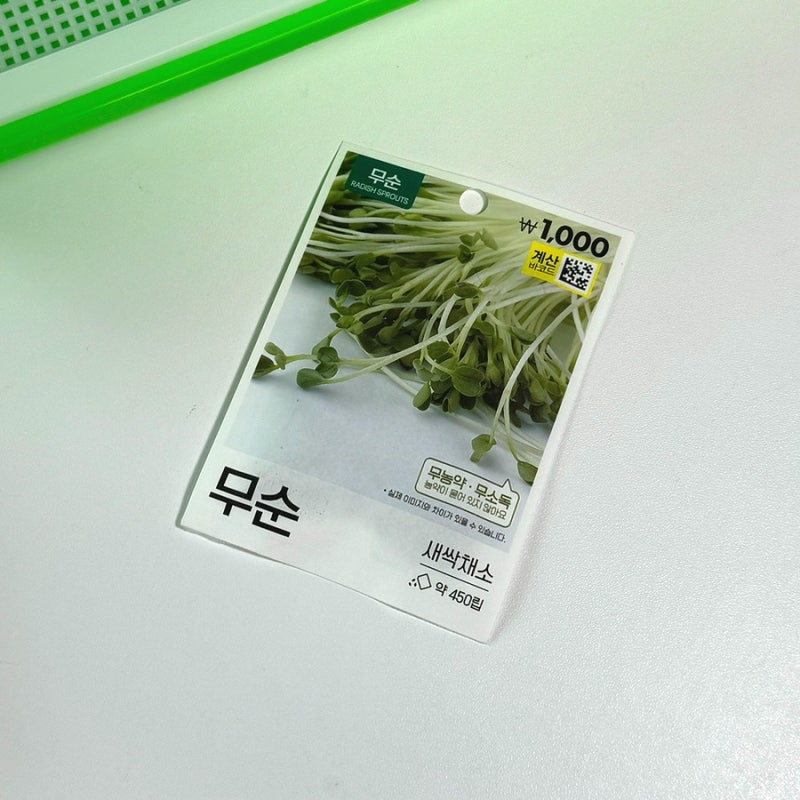 자연체험학습 새싹재배기로 빠르게 쑥쑥 무순키우기 네이버 블로그