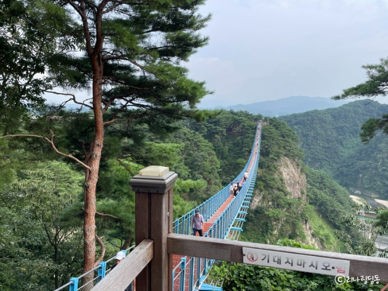 원주 소금산 출렁다리 울렁다리 입장료 소요시간 및 코스 후기 네이버 블로그