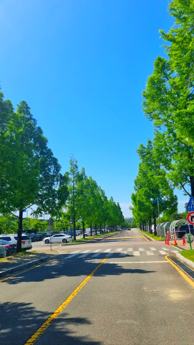 부산 강서구 북구 수영장 강서체육공원 자유수영 시간표 주차장 네이버 블로그
