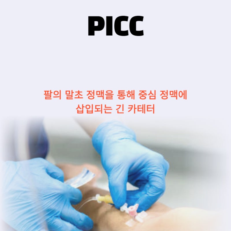 PICC, cag, cva, PCN, r/o, pci, f/u, d/t 간호 의학용어 총정리 : 네이버 블로그