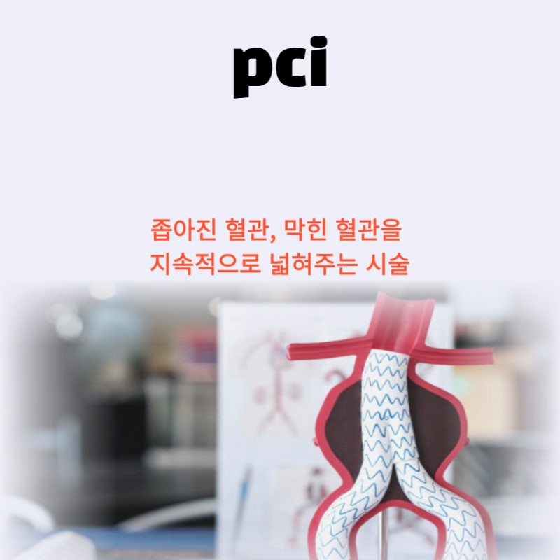 Picc Cag Cva Pcn Ro Pci Fu Dt 간호 의학용어 총정리 네이버 블로그