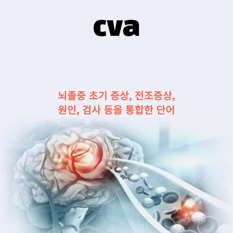 Picc Cag Cva Pcn Ro Pci Fu Dt 간호 의학용어 총정리 네이버 블로그