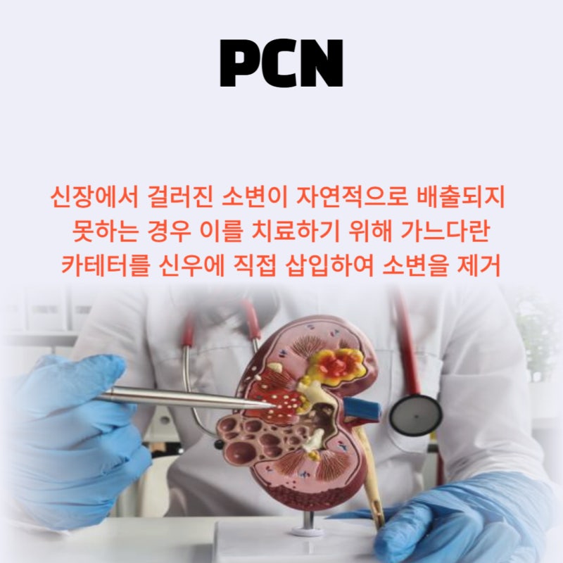 Picc Cag Cva Pcn Ro Pci Fu Dt 간호 의학용어 총정리 네이버 블로그