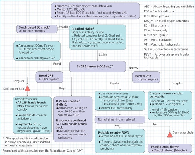 제세동기 : Defbrillation과 Cardioversion : 네이버 블로그