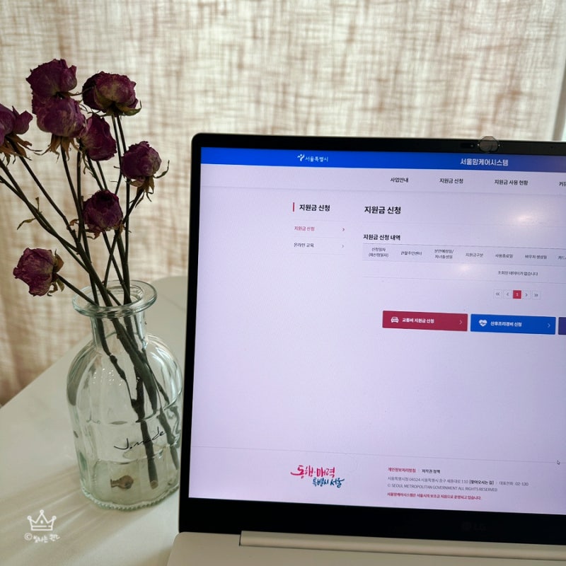 서울시 임산부 교통비 지원 신청방법 사용처 사용기간 네이버 블로그
