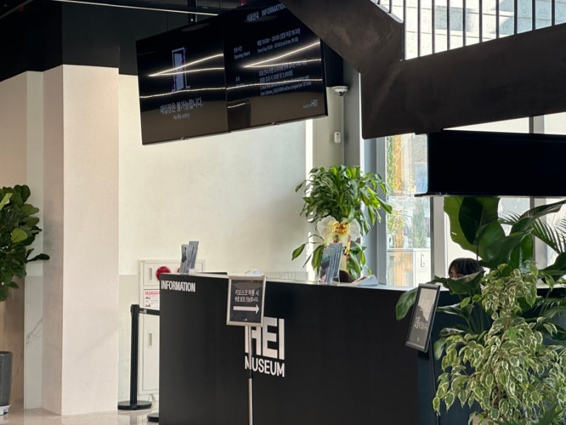 파주 뮤지엄헤이 수도권 최대 규모 미디어아트 전시관 실내 가볼만한곳 추천 : 네이버 블로그