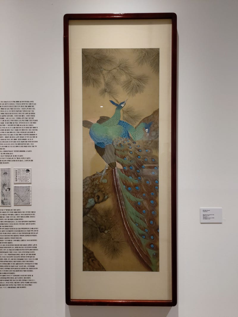 천경자 탄생 100주년 기념 격변의 시대 여성 삶 예술 서울시립미술관 서소문 전시 네이버 블로그