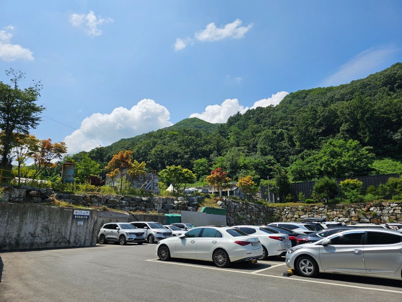 충주 가볼만한곳 활옥동굴 카약 추울 정도로 시원한 여행 코스 네이버 블로그