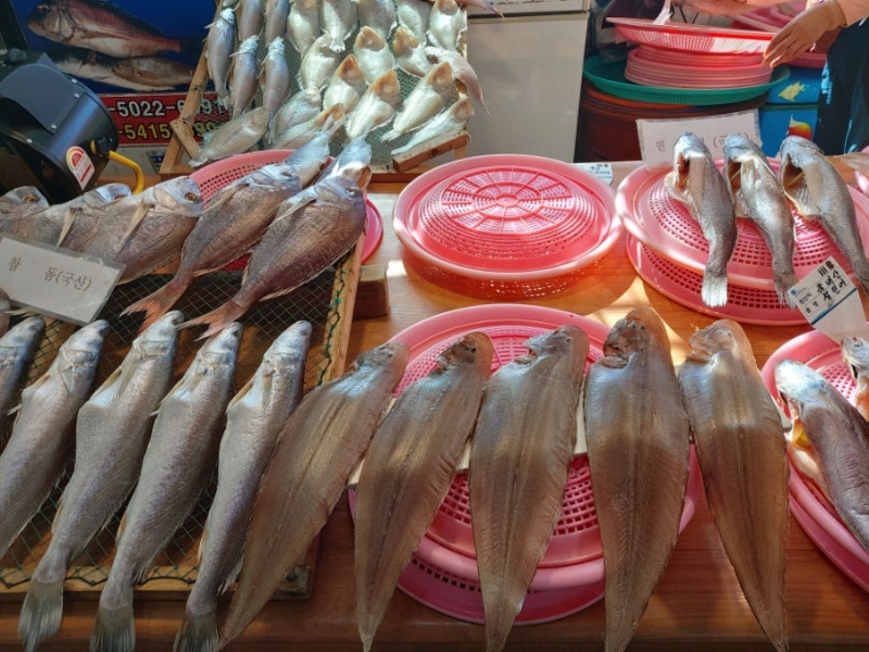 경남 사천 가볼만한곳 삼천포 용궁수산시장 추천 맛집 여행 네이버 블로그