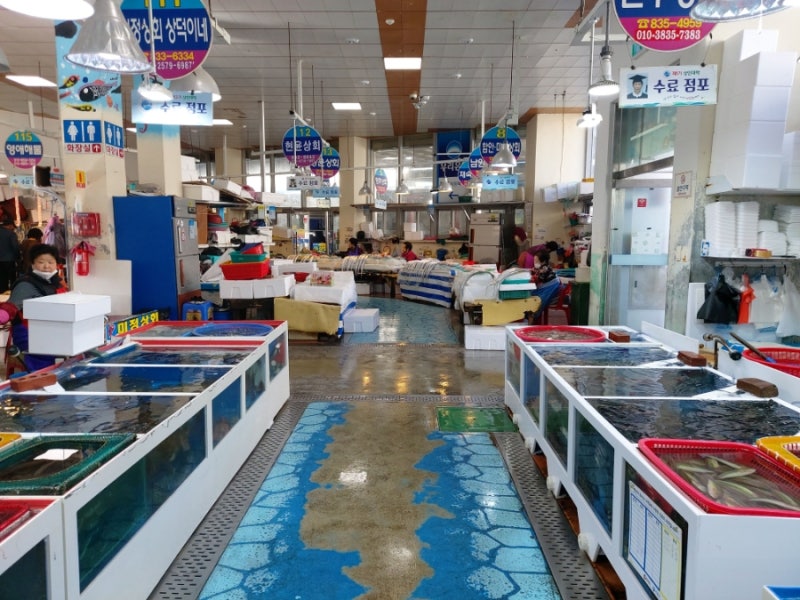 경남 사천 가볼만한곳 삼천포 용궁수산시장 추천 맛집 여행 네이버 블로그
