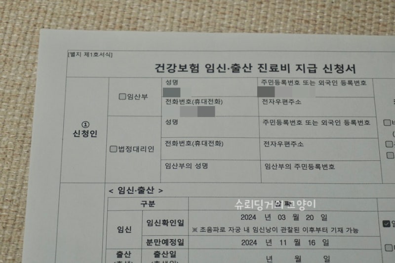 삼성 국민행복카드 바우처 베베폼 발급 사은품 후기 네이버 블로그