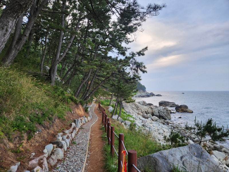 영덕블루로드 B코스 155km 트레킹 후기 영덕 여행 영덕트레킹 해파랑길 21코스 후기 전국트레킹코스 해맞이공원