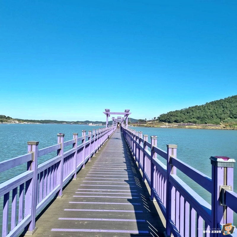 전남 신안 가볼만한곳 신안 퍼플섬 마을 퍼플교박지도 반월도 증도 태평염전 관광 명소 네이버 블로그