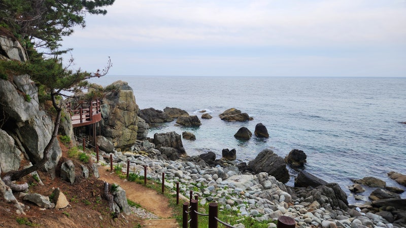 영덕블루로드 B코스 155km 트레킹 후기 영덕 여행 영덕트레킹 해파랑길 21코스 후기 전국트레킹코스 해맞이공원