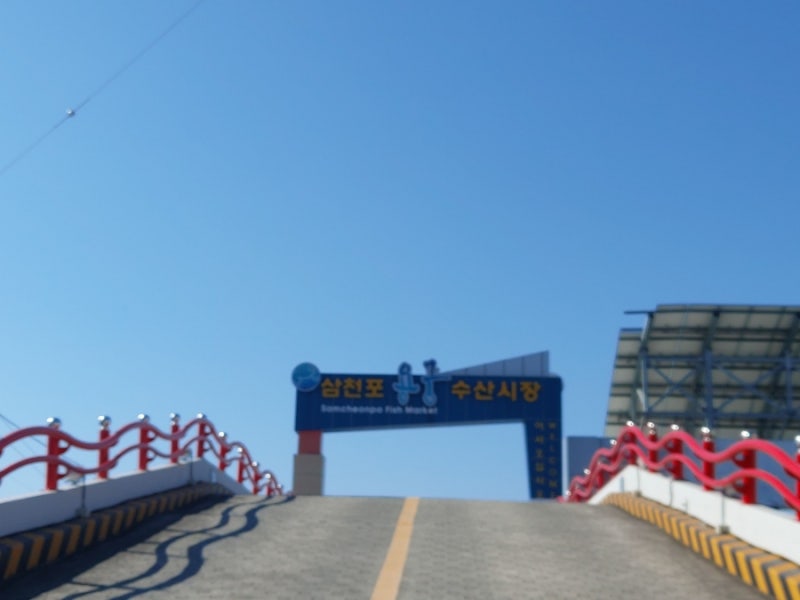 경남 사천 가볼만한곳 삼천포 용궁수산시장 추천 맛집 여행 네이버 블로그
