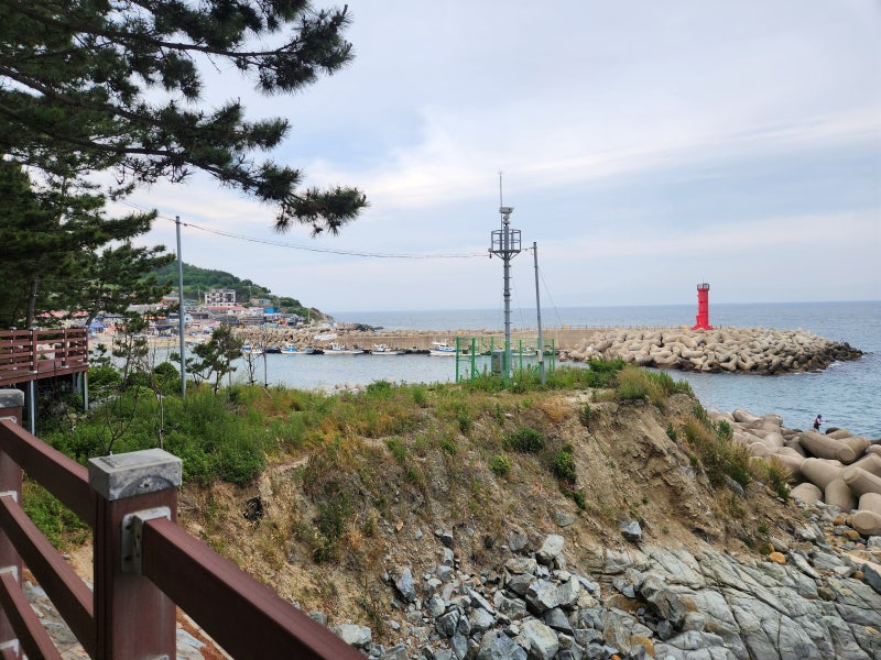 영덕블루로드 B코스 155km 트레킹 후기 영덕 여행 영덕트레킹 해파랑길 21코스 후기 전국트레킹코스 해맞이공원
