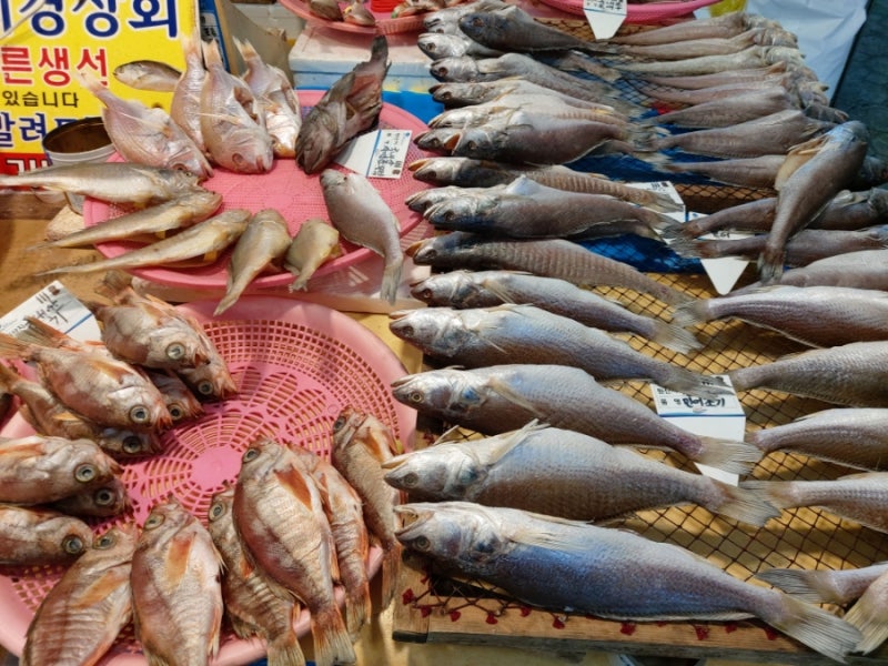 경남 사천 가볼만한곳 삼천포 용궁수산시장 추천 맛집 여행 네이버 블로그
