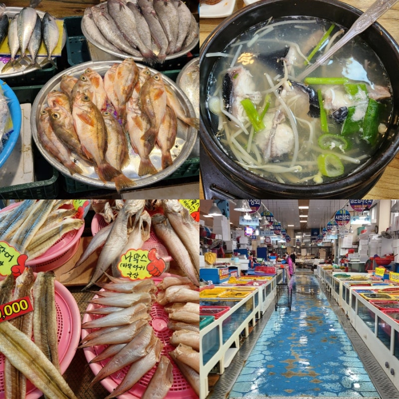 경남 사천 가볼만한곳 삼천포 용궁수산시장 추천 맛집 여행 네이버 블로그