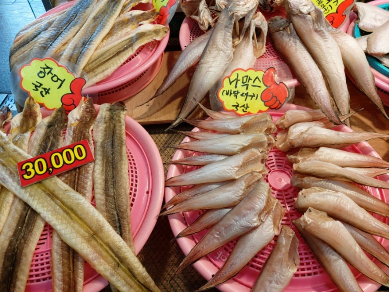경남 사천 가볼만한곳 삼천포 용궁수산시장 추천 맛집 여행 네이버 블로그