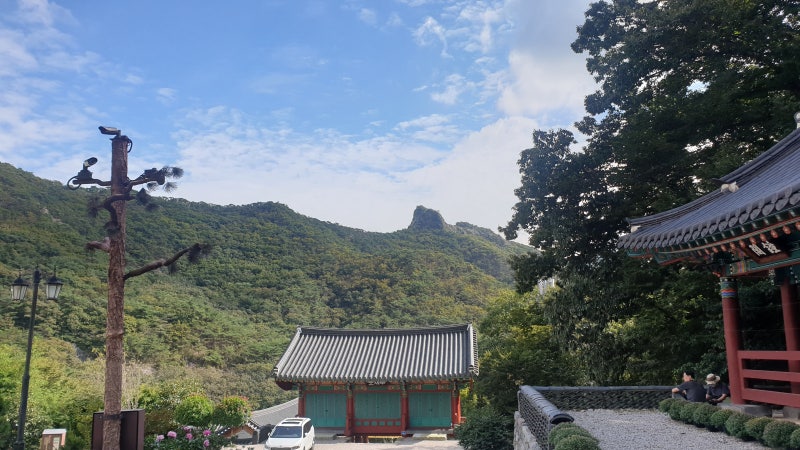 전북 고창 9월 가볼만한곳 · 선운사 꽃무릇 개화시기 입장료 · 상사화 선운산도립공원 트레킹 코스 네이버 블로그