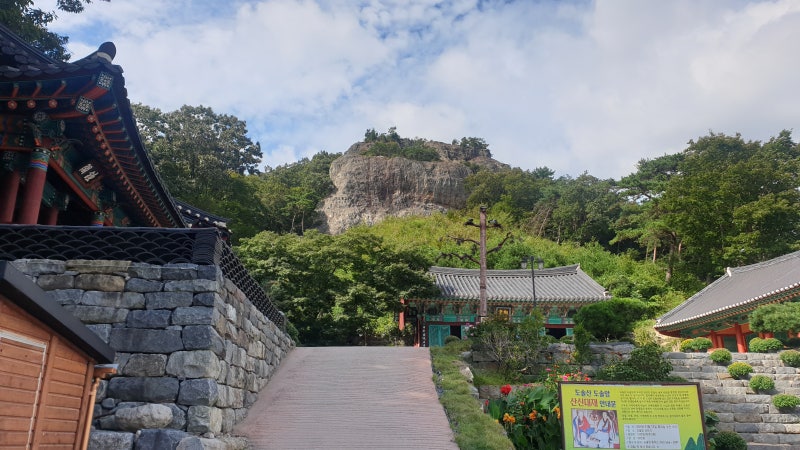 전북 고창 9월 가볼만한곳 · 선운사 꽃무릇 개화시기 입장료 · 상사화 선운산도립공원 트레킹 코스 네이버 블로그