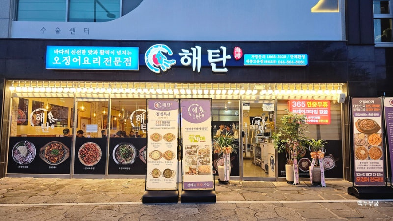 세종 고운동 맛집 푸짐한 오징어요리가 맛있는 해탄 네이버 블로그