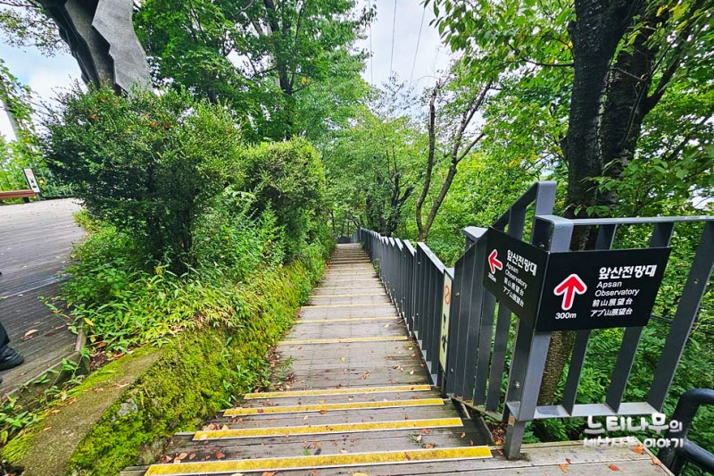 대구 앞산 전망대 등산코스~ 앞산케이블카~비파산~앞산전망대~앞산 네이버 블로그