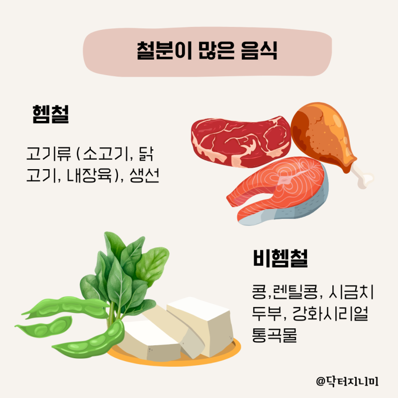 철분이 부족하게 되는 경우 어떠한 증상이 생기나요 증상과 수치에 따른 치료 방법에 관하여 철분 결핍 Iron