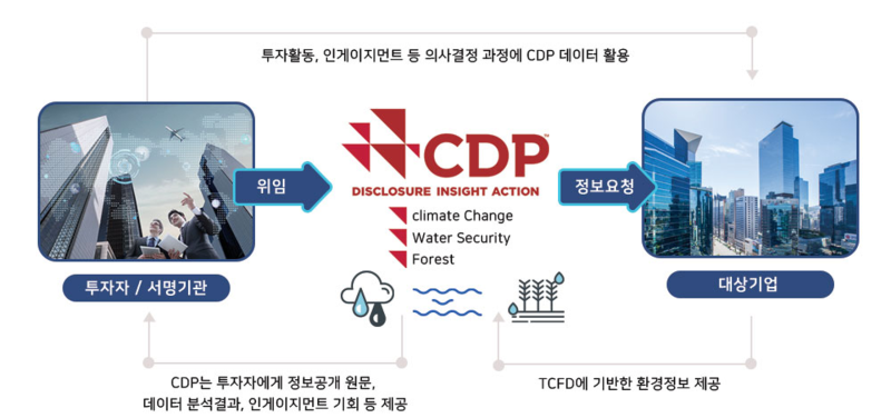 CDP에 대한 모든것(꼭 해야하나요?, 어떻게 해야하나요?) : 네이버 블로그